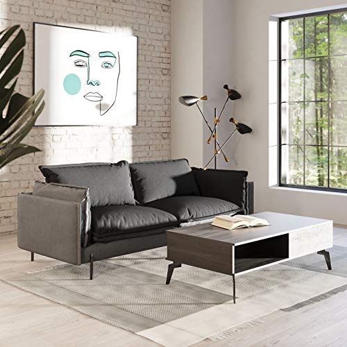Limari Home Roch Collection Modern Style Living Room Fabric Upholstered Sofa with Titanium Alloy Metal Legs, Gray