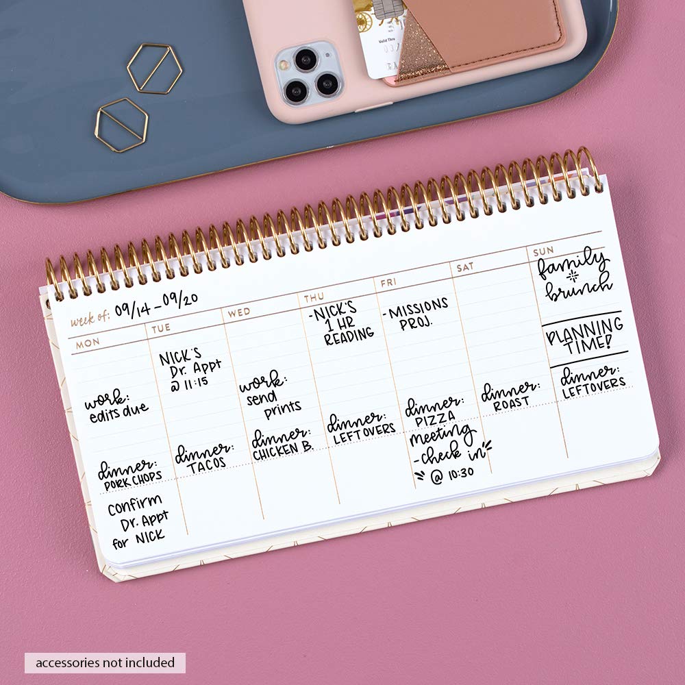 Erin Condren Designer Desk Accessories - Weekly Schedule Pad & Productivity Pad - Mid Century Circles, 10" x 10", Perfect for Desktop Decor and Weekly Planning