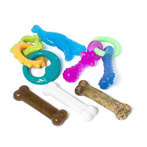 Nylabone Puppy Starter Kit with Chew Toys - Puppy Toys and Chew Treat Bundle - Puppy Supplies - Chicken and Bacon Flavors, Small/Regular (6 Count)
