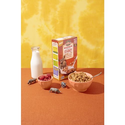 EnviroKidz Rhino Rolls Organic Cinnamon Bun Cereal,9.5 Ounce,Gluten Free,Non-GMO,EnviroKidz by Nature's Path