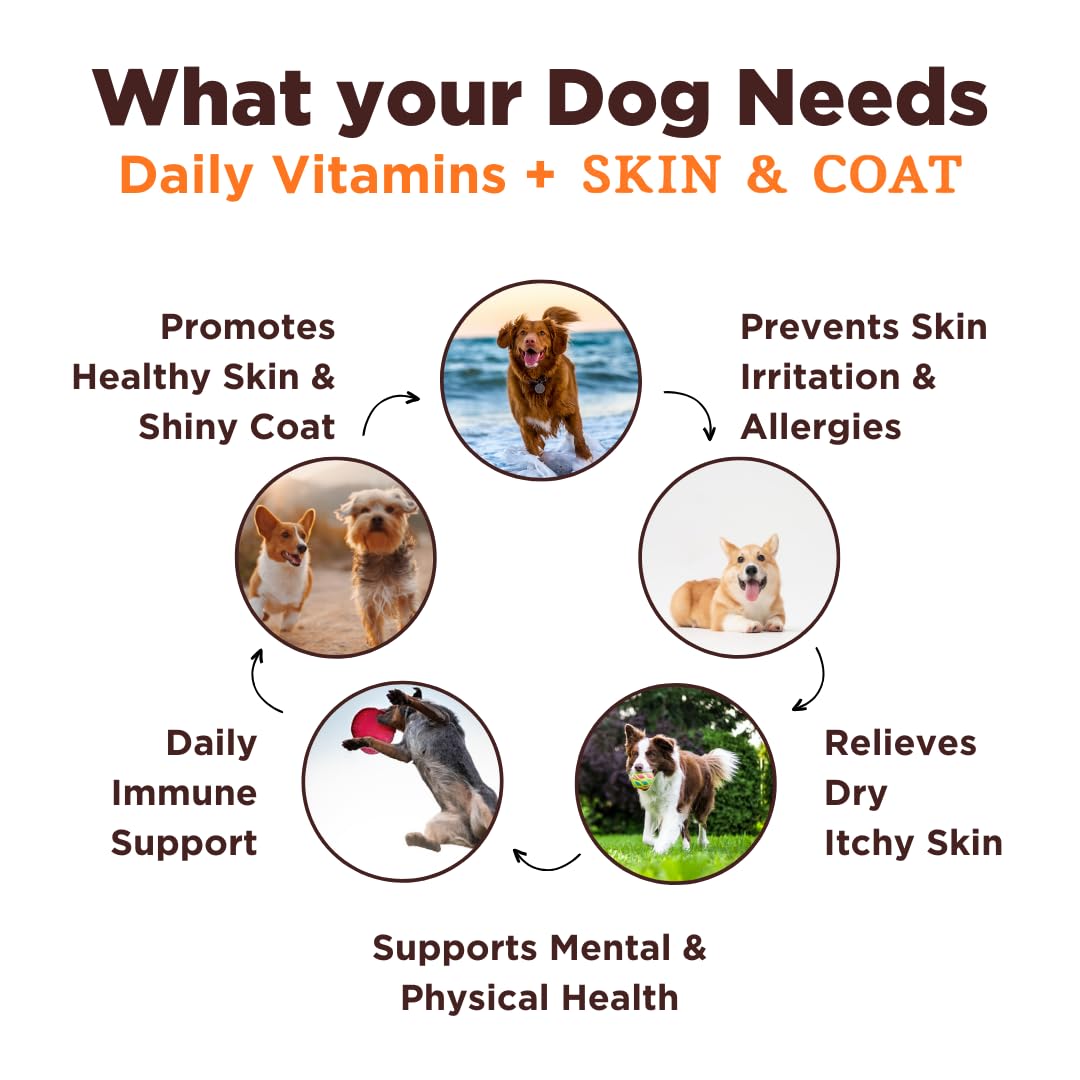 Mission-Proven Globally in Our Counterterrorism Work - Ultimate Skin & Coat Dog Chews-3X The Chews-Advanced Daily, Omega 3, DHA, EPA, Dry Skin Soother