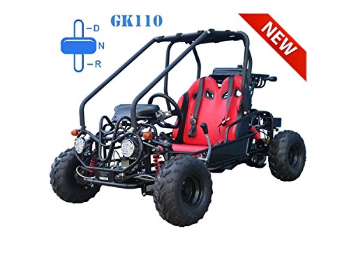 TAO Go kart 110cc with reverse