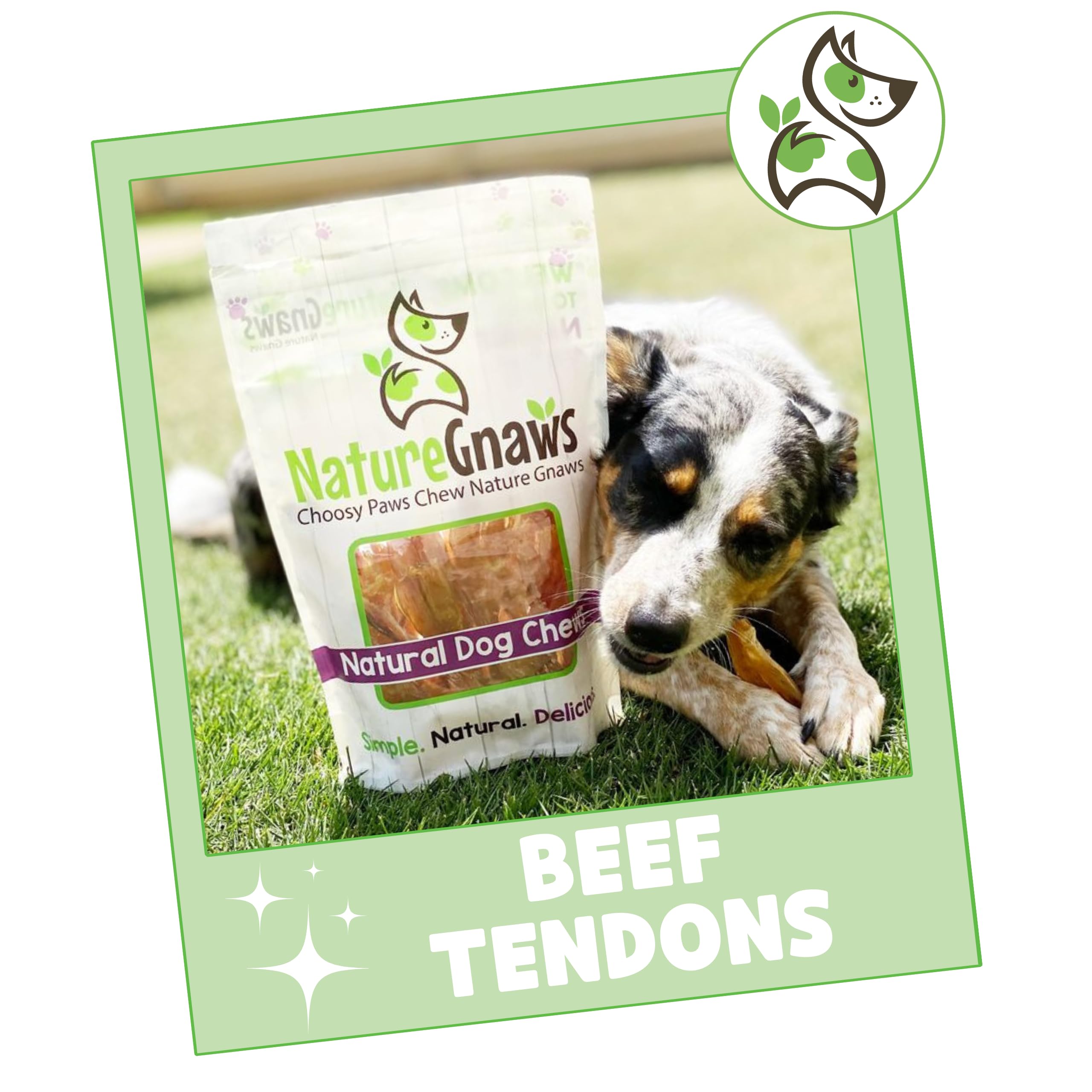 Nature Gnaws Beef Tendons for Dogs 4-5" (5 Count) - Mixed Thickness - Long Lasting for Small and Medium Dogs - Natural Beef Jerky Dog Chew Bones - Rawhide Free