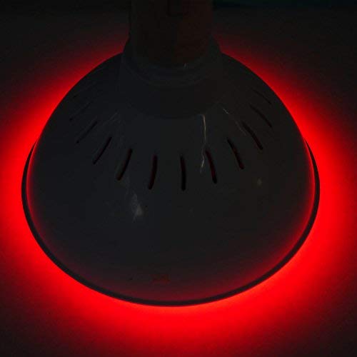 Color Changing Magnetic LED Pool Wall Light,Compatible for Intex above Ground Swimming Pools,IP68 Waterproof