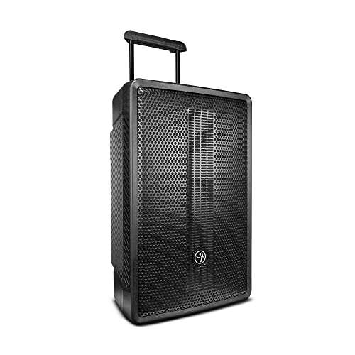 DS18 ZL-X15BT Zumba Loud 15" Self Powered 2-Way Loudspeaker Portable PA Speaker System, with MP3, USB & TWS Bluetooth, 1000 Watts - Perfect for Your Studio, Party, Dance Floor, Home or Outdoor Event