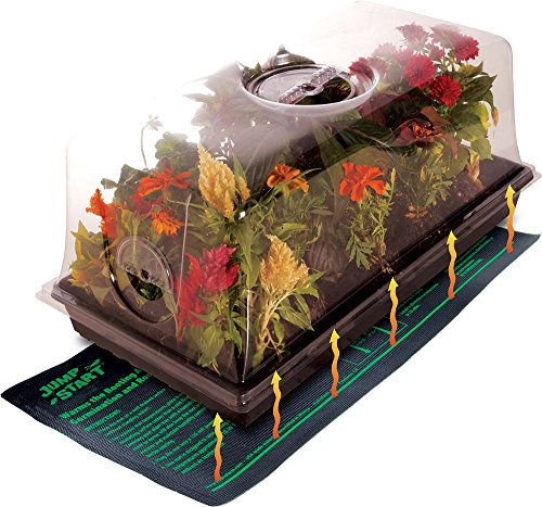 Jump Start CK64060 Heat Mat, Tray, 72 Cell Insert Hot House, 11 X 22 Inch, Black