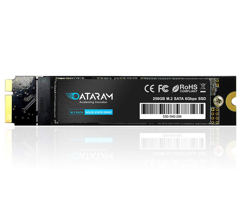 Dataram SSD for 2012 Apple MacBook Air EMC 2558 & EMC 2559, SATA-III M.2 2280 Internal SSD (256GB)