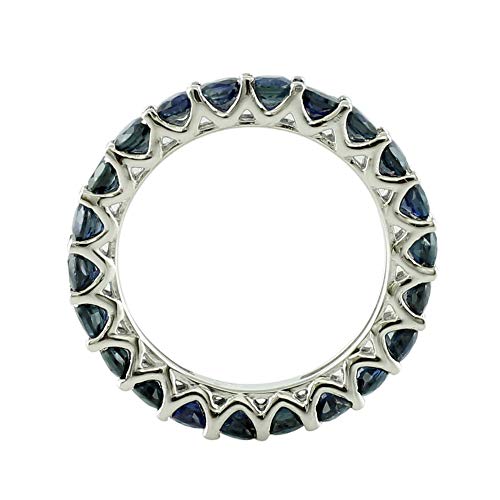 Eternity Band 3.81 Ctw Round Blue Sapphire Gemstone 925 Sterling Silver Women Stacking Ring GIFT FOR HER (Sterling Silver, 6.5)