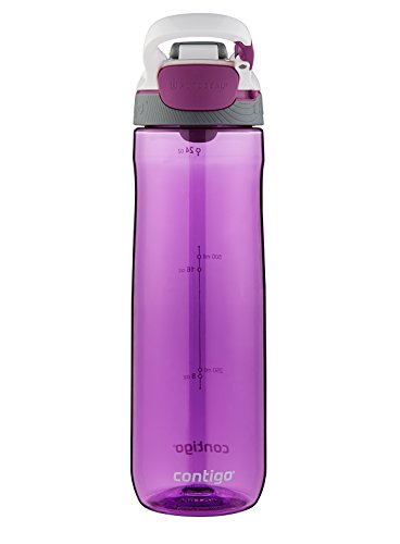 Contigo AUTOSEAL Cortland Water Bottle, 24 oz, Radiant Orchid