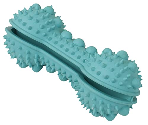 Pet Life ® 'Denta-Bone' TPR Treat Dispensing and Dental Cleaning Durable Dog Toy
