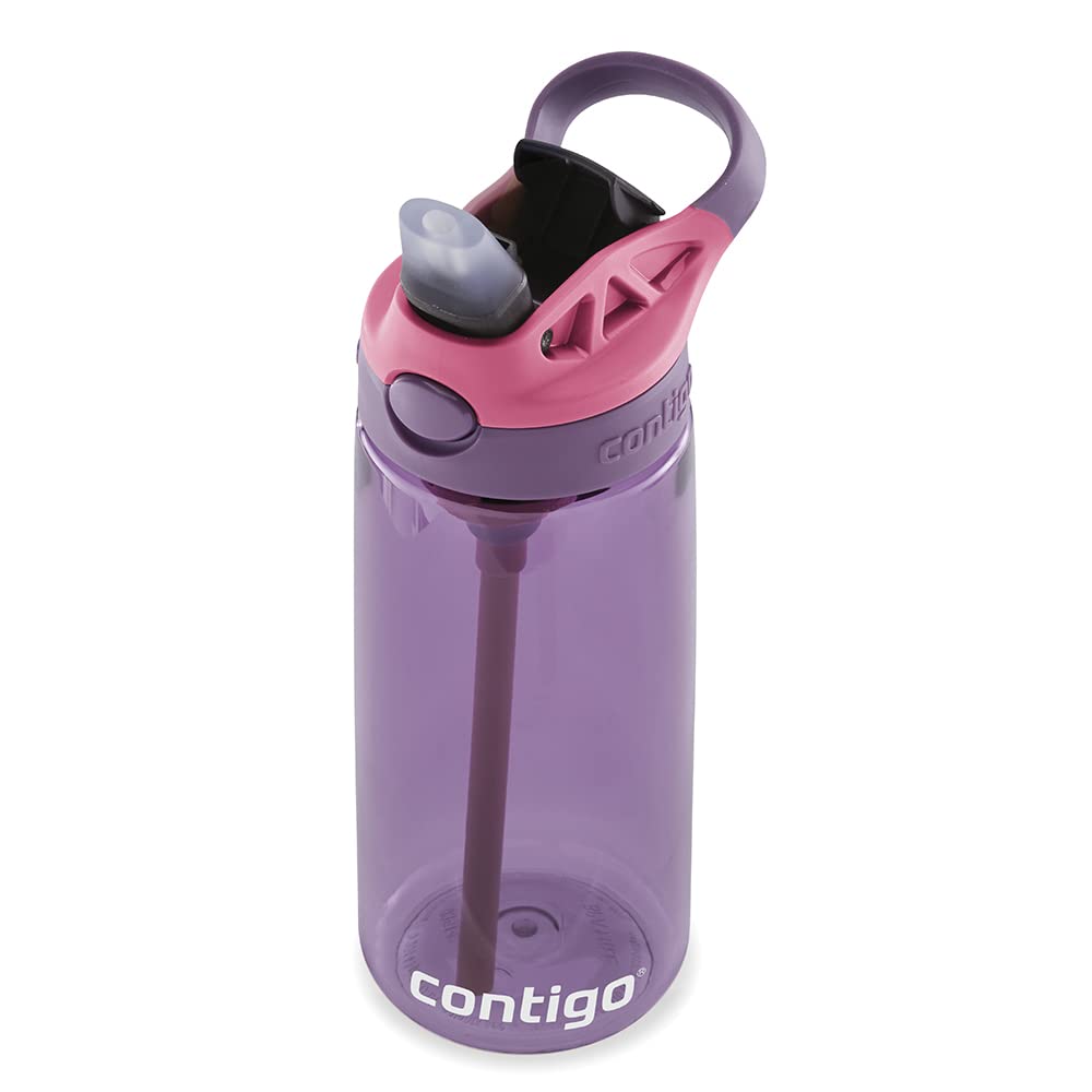 Contigo Ashland 2.0 Leak-Proof Water Bottle with Lid Lock and Angled Straw & Aubrey Kids Cleanable Water Bottle with Silicone Straw and Spill-Proof Lid, Dishwasher Safe, Juniper