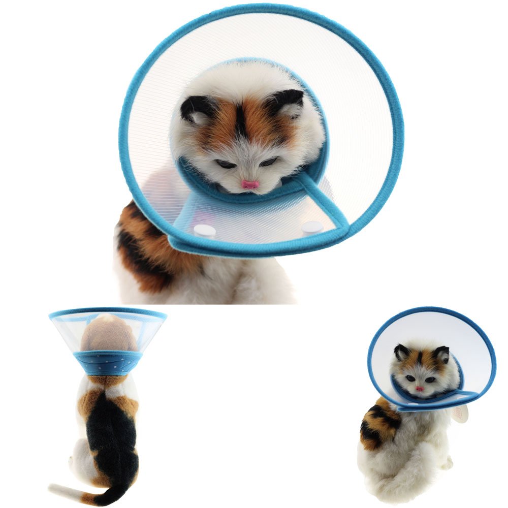 Pet Plastic Clear Cone Recovery E-Collar with Dots Design Soft Edge for Small Dogs & Cats (Small, Blue)