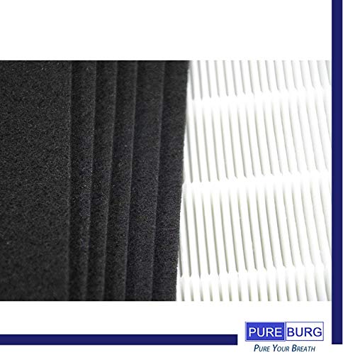 PUREBURG Replacement True HEPA Filter Set Compatible with Winix 115115, Filter A,9800 5300 6300 5300-2 6300-2 P300 C535 5000b 5000 5500 Plasma Wave WAC5300 WAC5500 WAC6300,H13 Activated carbon,2-Pack
