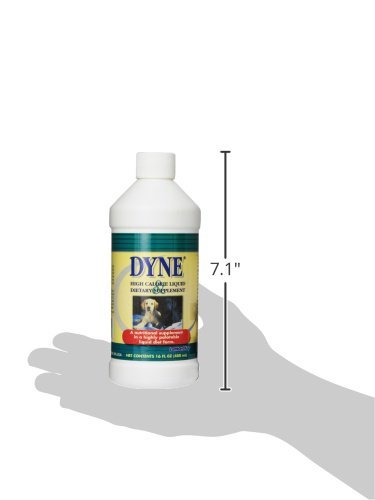 Pet-Ag Dyne High Calorie Liquid Nutritional Supplement for Dogs & Puppies 8 Weeks and Older - 16 oz - Supports Performance and Endurance - Sweet Vanilla Flavor