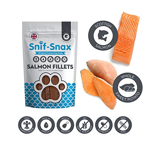 Snif-Snax™ Human Grade Dog Treats - All-Natural Smoked Salmon & Sweet Potato Strips, 4oz