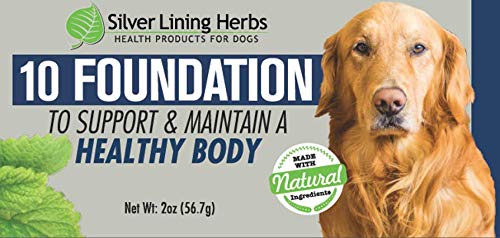 Silver Lining Herbs 10 Canine Foundation - Herbal Blend Supporting Normal Health & Vitality - Natural Canine Supplement for Long-Term Wellness - Supports Liver, Kidneys, Digestive Tract - 2 Ounce Jar