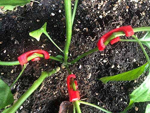 HMG 90 Degree Plant Bender (35 Pack) for Low Stress Training (LST) and Plant Training