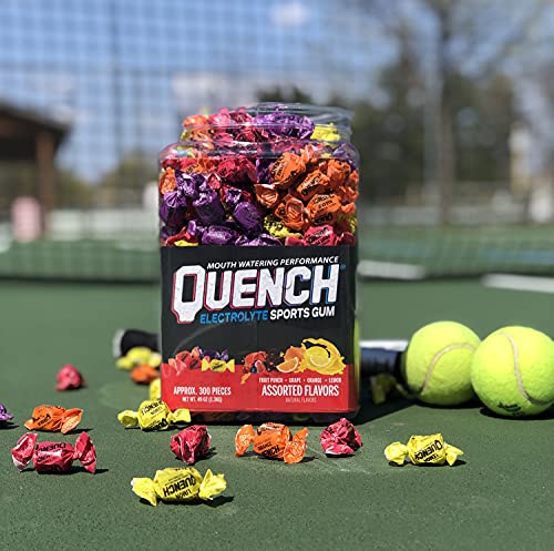 Quench Gum Tub, New Variety Fruit 300,300 Count (Pack of 1)