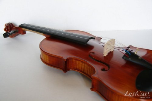 D Z Strad Viola Model 120 with Strings, Case, Bow, Shoulder Rest and Rosin (15" - Size)