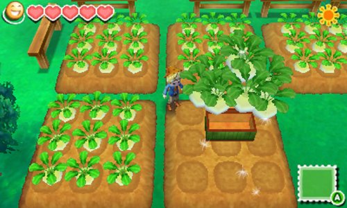 牧場物語 つながる新天地
