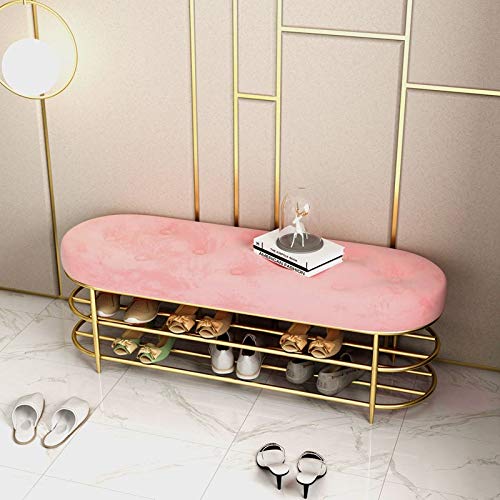 LDCHNH Shoe Stool with 2 Layers Shoe Rack Shelf Sofa Cushion Entrance Door Shoe Cabinet Shoe Stool Storage Stool (Color : D)