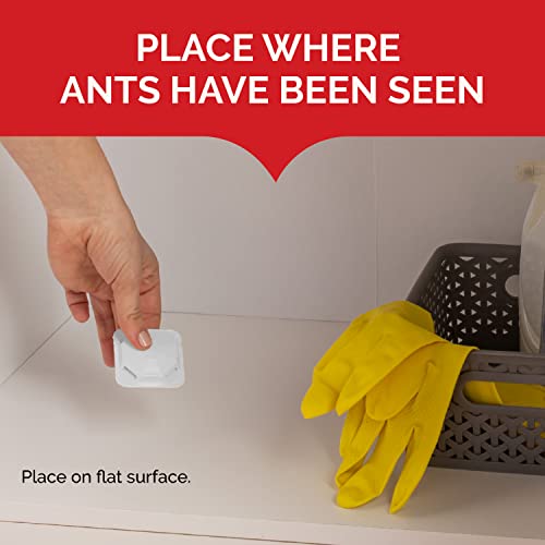 Hot Shot MaxAttrax Ant Bait, 8 Count, Child-Resistant Bait Stations