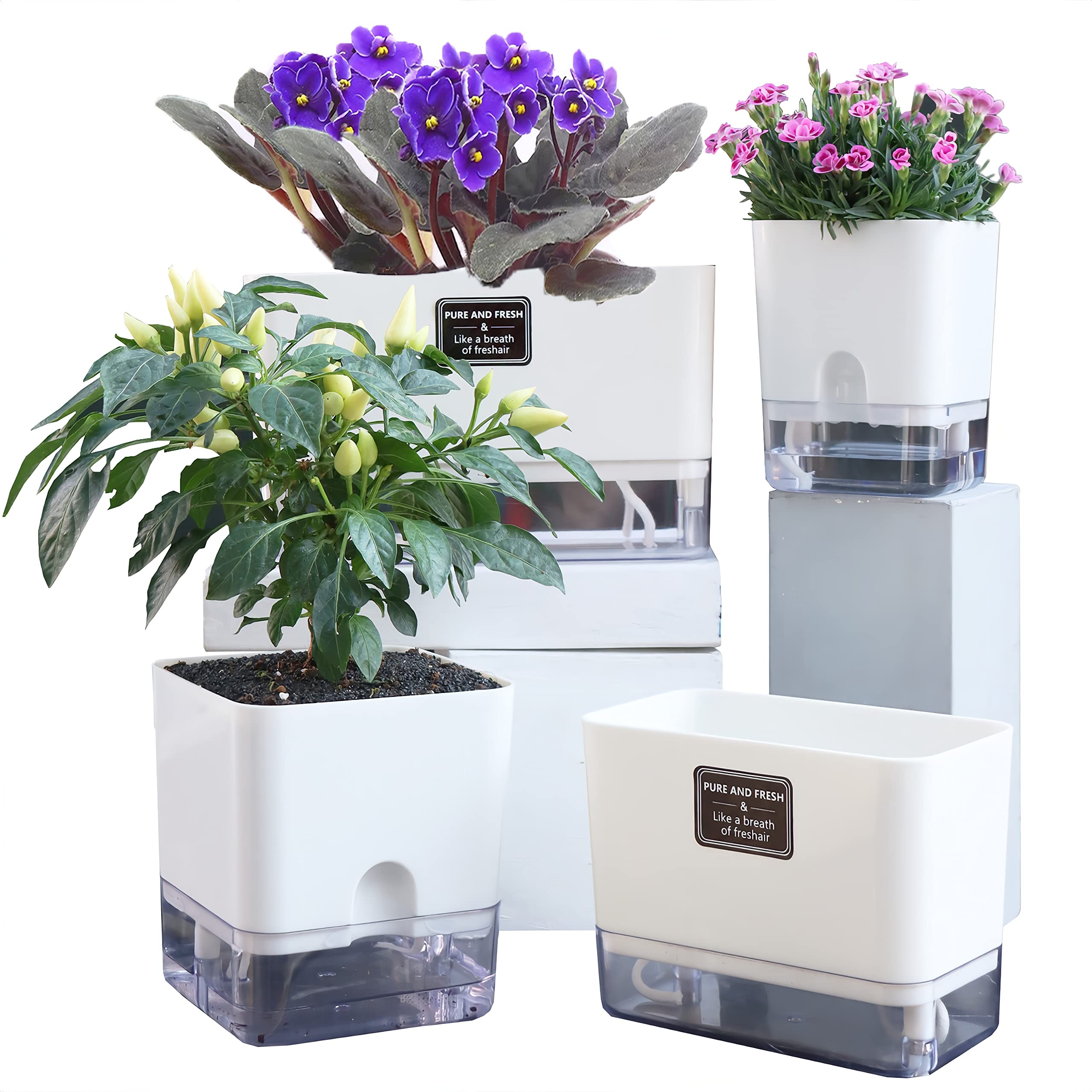 FAMZ Self Watering Planters 4 Pack,Plant Pots for Indoor,Automatic Moisturizing,Transparent Square Flower Pot for Indoor and Outdoor Plants,Succulents,Violets,Ivy