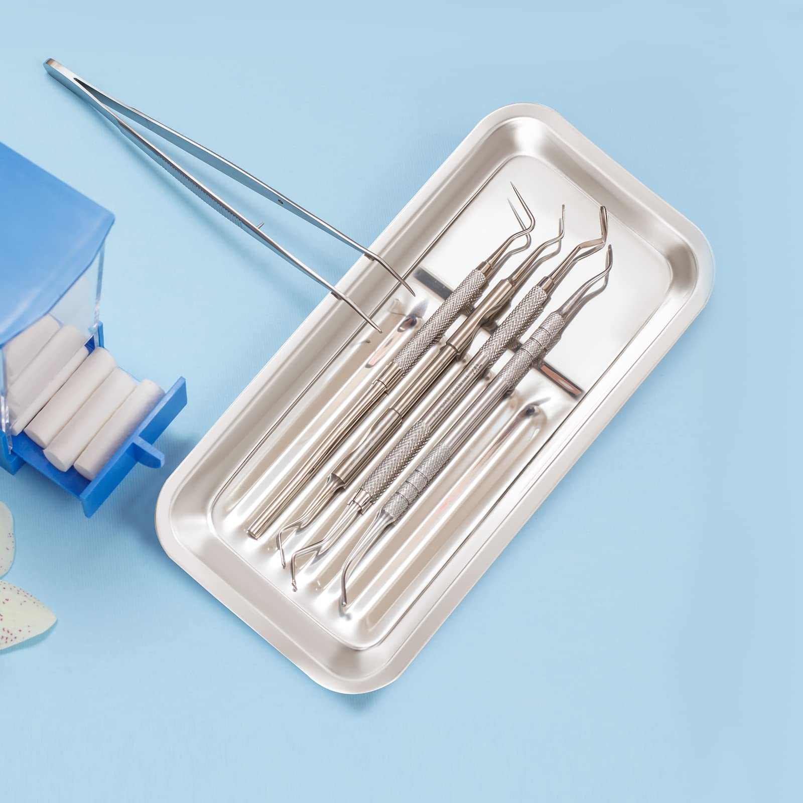NUOMI Medical Surgical Tray Stainless Steel Instrument Trays Organizer 2 Pack Dental Procedure Tray Tools