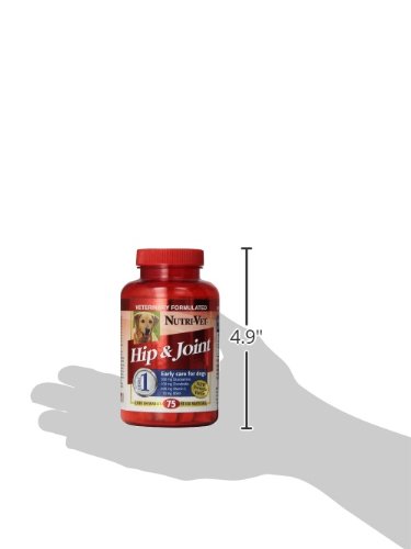 Nutri-Vet Hip & Joint Chewable Dog Supplements - Formulated with Glucosamine & Chondroitin for Dogs - 75 Count