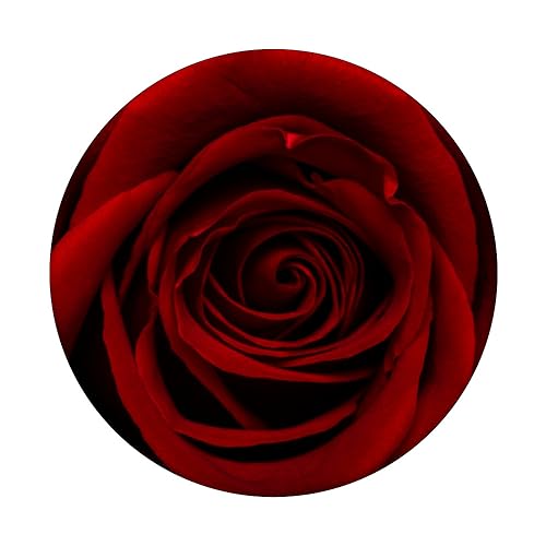 Red Rose Floral Flower PopSockets Standard PopGrip