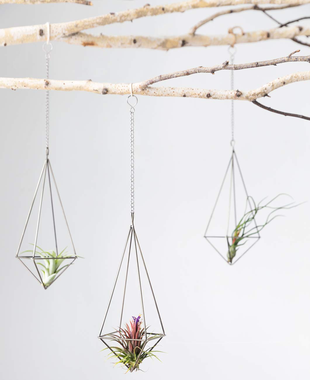 Dahey Hanging Air Plant Holder Unique Tillandsia Hanger Display Himmeli Geometric Planter with Chains Metal Airplant Rack for Indoor Home Decor, 4 Pack, 2 Sizes, Bronze