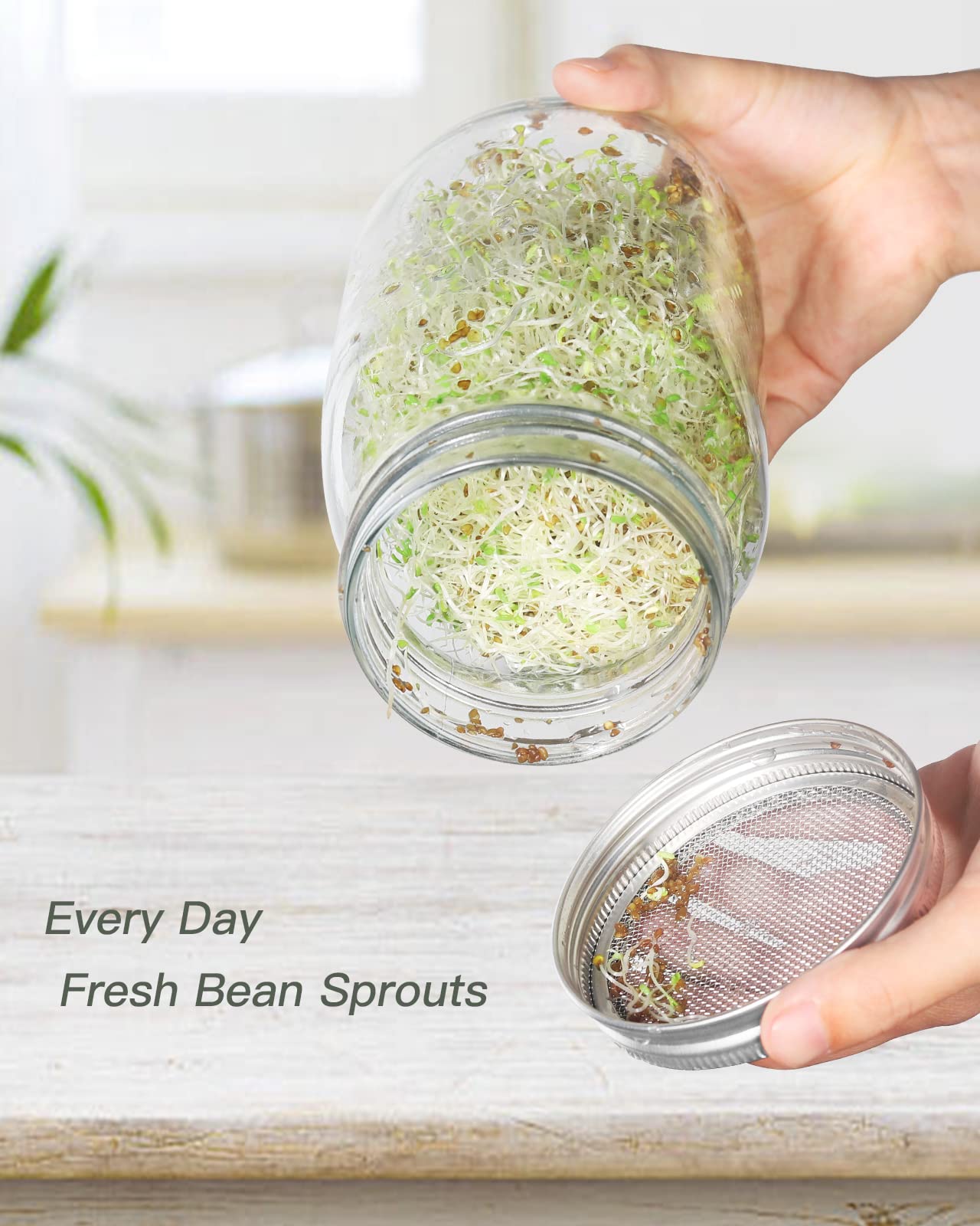 FEBFLO 12 Pack Sprouting Lids, 316 Stainless Steel Screen Lid for 86mm Wide Mouth Mason Jar, Mesh Bean Sprout Sieve Lids, Home Use Alfalfa, Broccoli,Lentil. QurHapzy (12 lids)
