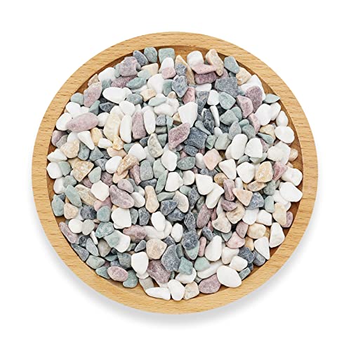 JINWOKEJI Natural Stone for Plants Small Decorative Mixed Color Pebbles Aquarium Gravel River Rock for Succulent Bonsai Cactus, 3/8", 2.2lb