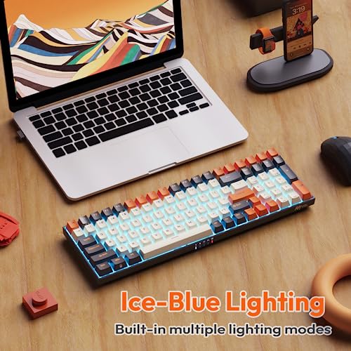 RK ROYAL KLUDGE RK100 Wireless Mechanical Keyboard, Bluetooth5.1/2.4G/Wired 96% Full Size 100-Key Hot Swappable Gaming Keyboard with 3 USB Ports, Red Switch for Mac Windows, Carbon