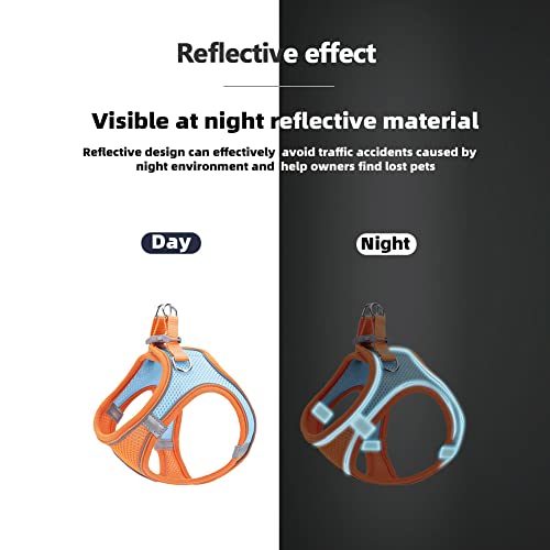 Richcatty 2.0 Step in Air Dog Harness with 59“ Pet Leash for Dogs&Cats-Super Breathable Stable and Lightweight No Feeling Design More Comfortable (Blend Orange, S(Pet Weight 8.8-12.1Lb))
