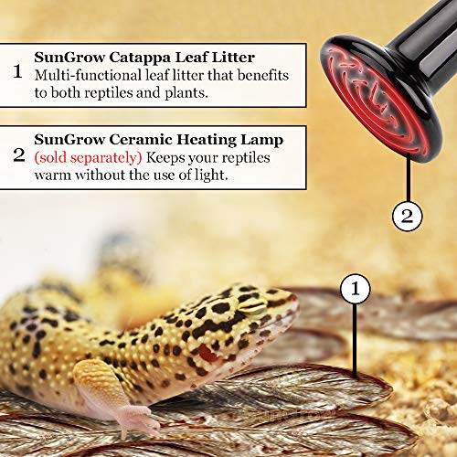 SunGrow Saver Bundle Pack - Catappa Leaves 30Pcs/Pack + Large Leaf Hammock