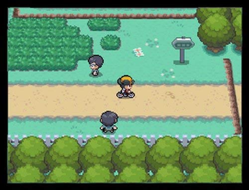 Pokemon HeartGold Version (Renewed)