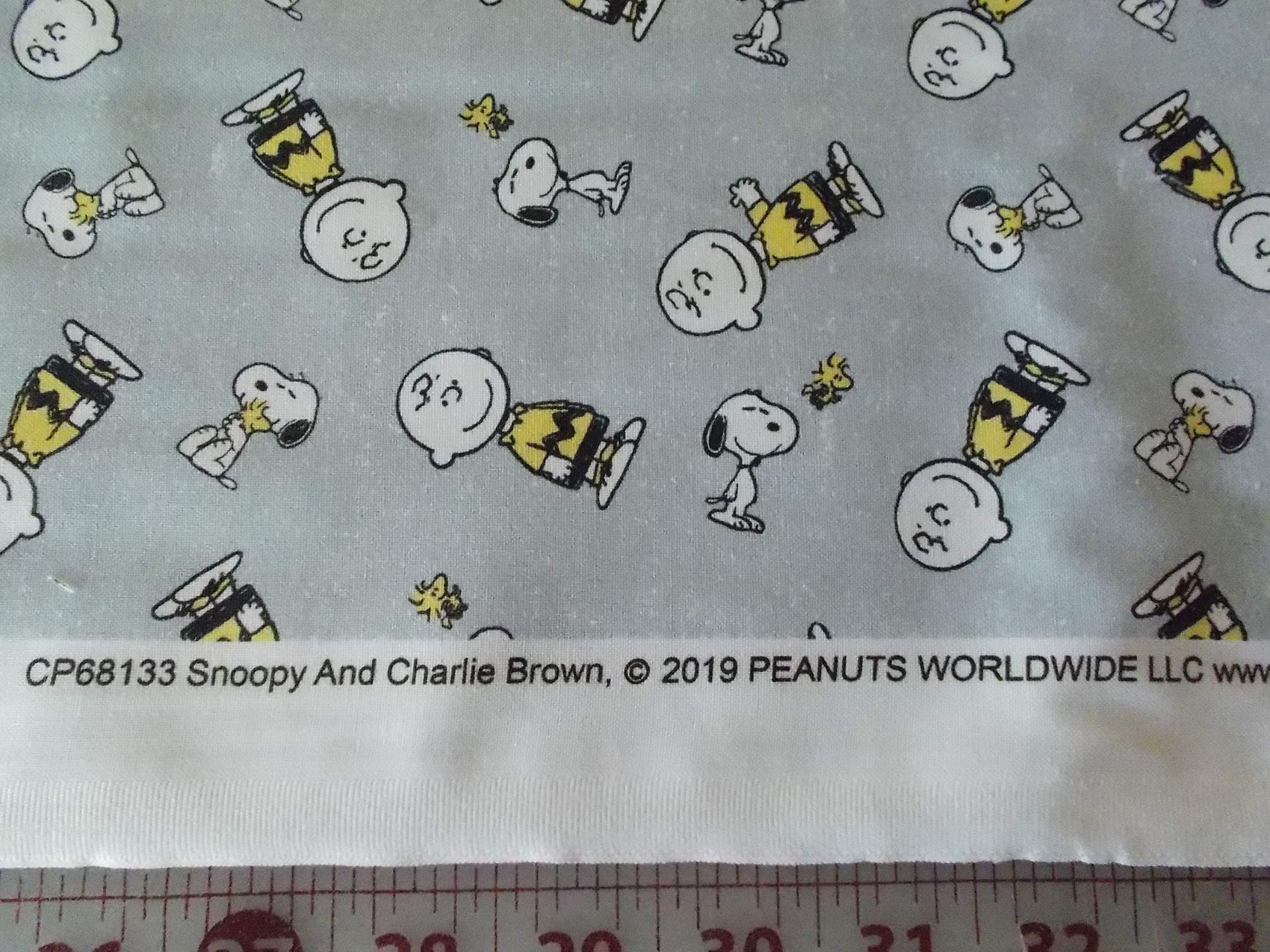 Peanuts Snoopy and Charlie Brown Fabric by The Yard by Springs Creative 100% Cotton