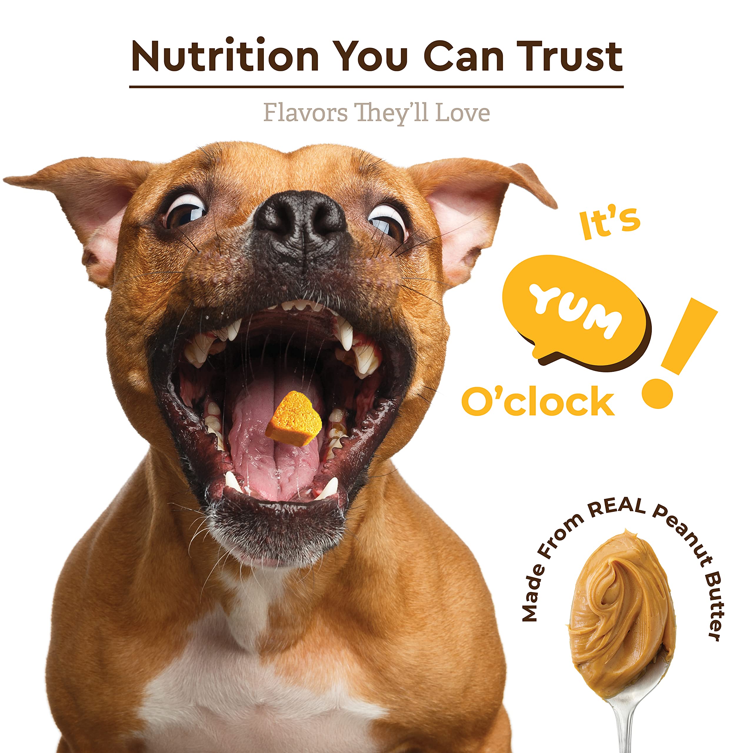 Super Multi-Vitamin Chew with Ashwagandha. Multivitamin for Joint, Skin, Gut, Brain, Bone, Heart & Immune Health - All Natural Ashwagandha, Curcumin, Pumpkin Powder & Vitamin C (90 Chews).