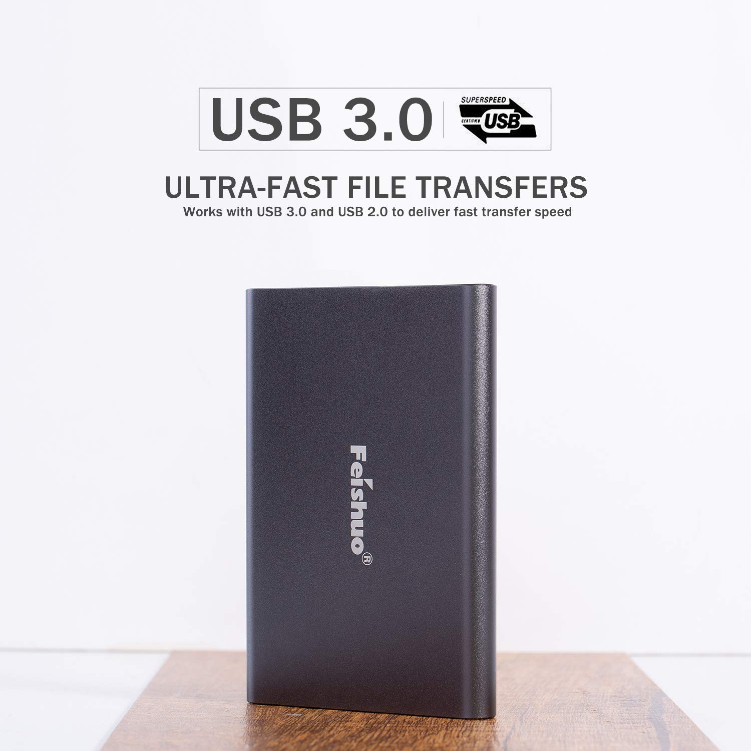 FEISHUO Portable External Hard Drive USB3.0 SATA HDD Storage (120G, Gray)