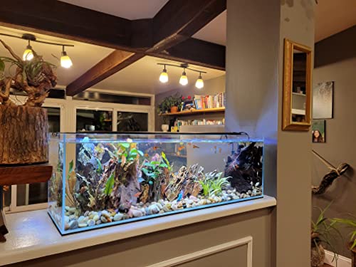 Lifegard Aquatics 16 Gallon Clear Glass Bookshelf Aquarium 6mm (33.85"x9.84"x11.02")
