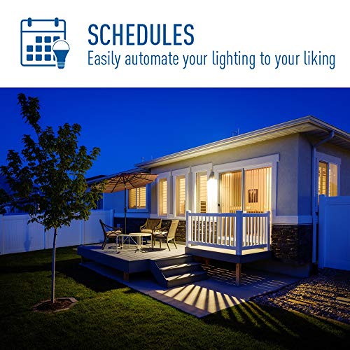 Cree Lighting Connected Max Smart Led Vintage Glass Filament Bulb B11 Candelabra 40W Tunable White, 2.4 Ghz, Compatible with Alexa and Google Home, No Hub Required, Bluetooth + WiFi, 6Pk, Clear