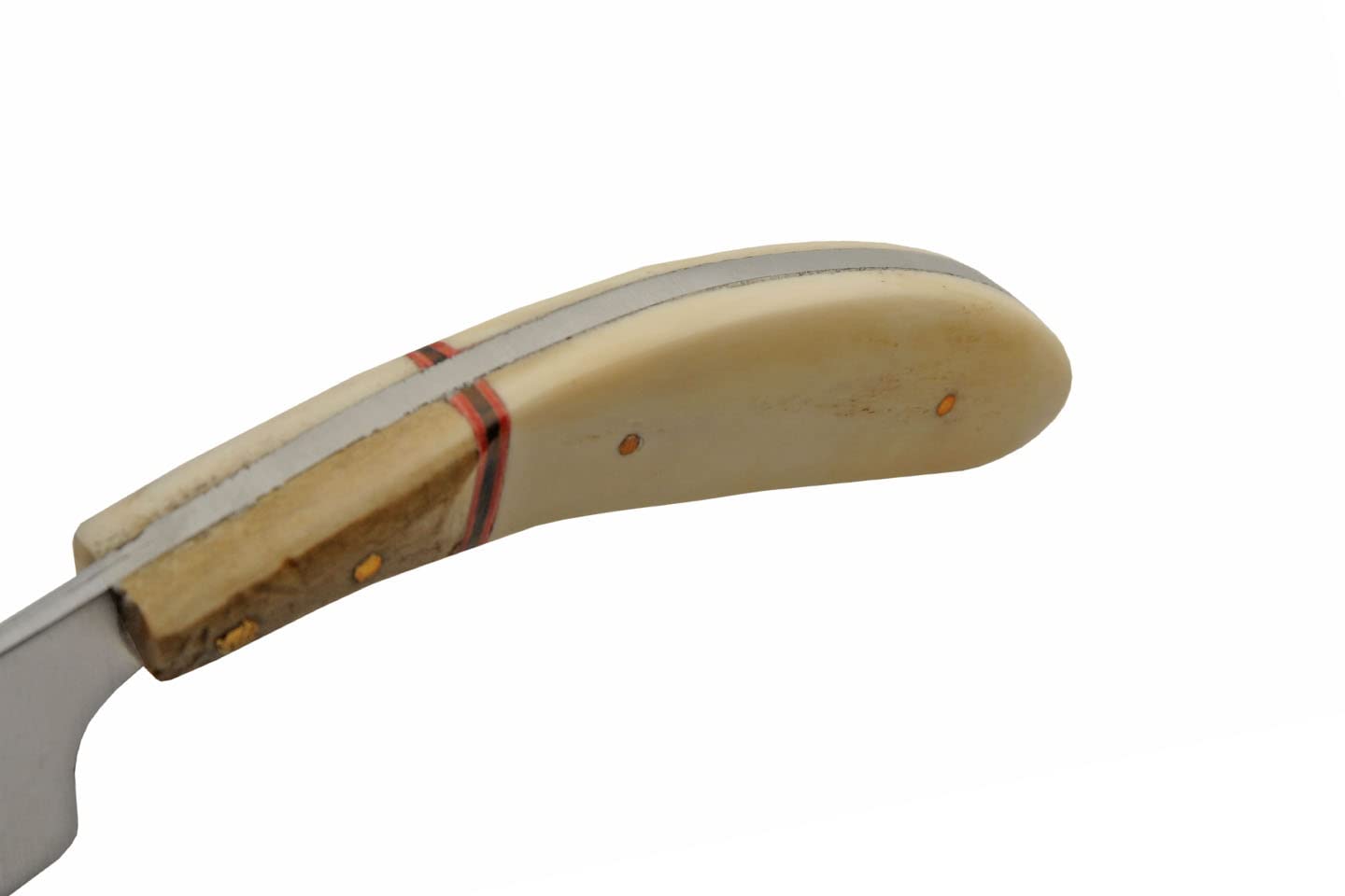 Curved Stainless Steel Blade Bone/Stag 8 inch Hunting Knife