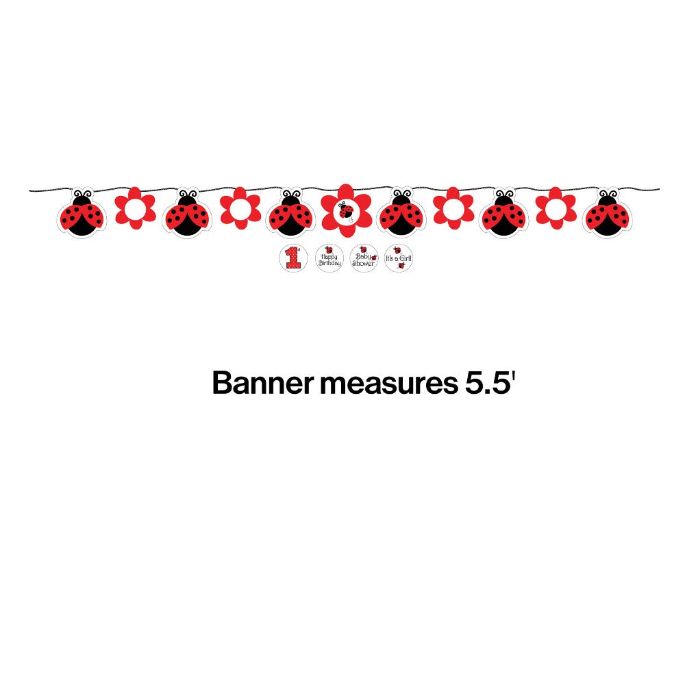 Creative Converting Ladybug Fancy 1st Birthday Party Decorations Kit