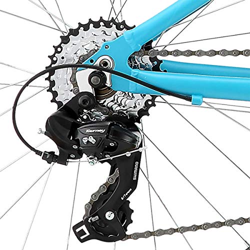 Diamondback Metric 24