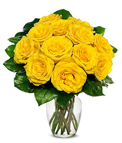 DELIVERY BY FRIDAY, 8/2 GUARANTEED IF ORDER PLACED BY 8/1 BEFORE 2PM EST From You Flowers - One Dozen Yellow Roses with Glass Vase (Fresh Flowers) Birthday, Anniversary, Get Well, Sympathy,