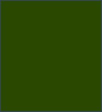 Derwent Watercolor Pencil 50 Cedar Green