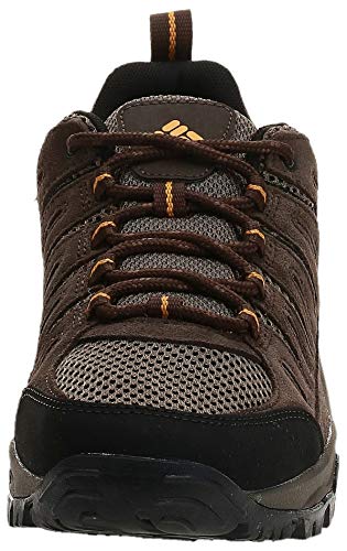 Columbia Men's Lakeview II Low, Cordovan/Mud, 10