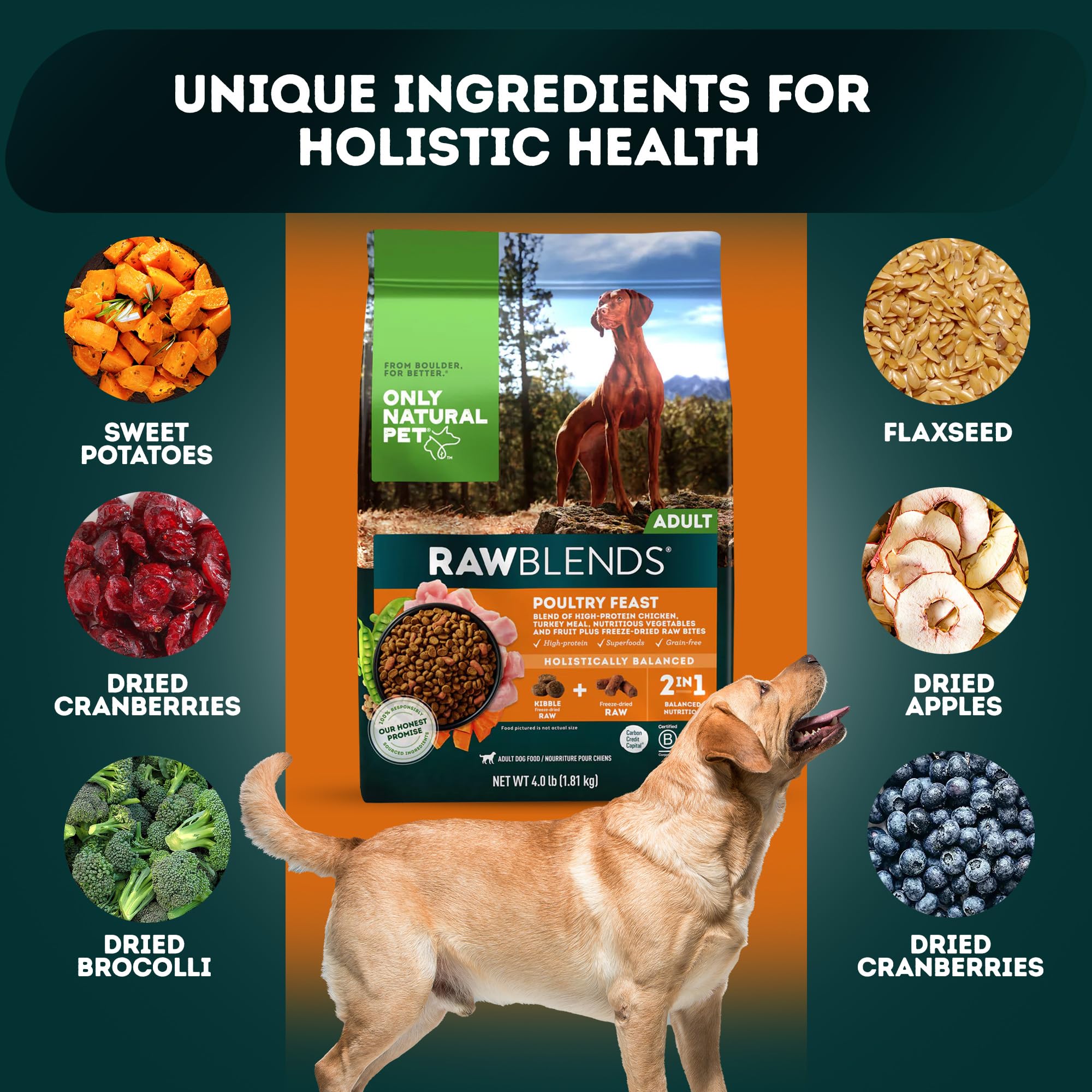 Only Natural Pet Raw Blends Grain-Free Dog Food, High Protein All-Natural Whole Ingredients & 100% Raw Meat Bites, Poultry Feast, Low Phosphorus, Dehydrated Mix for Large Breed & Picky Eaters, 4 lb
