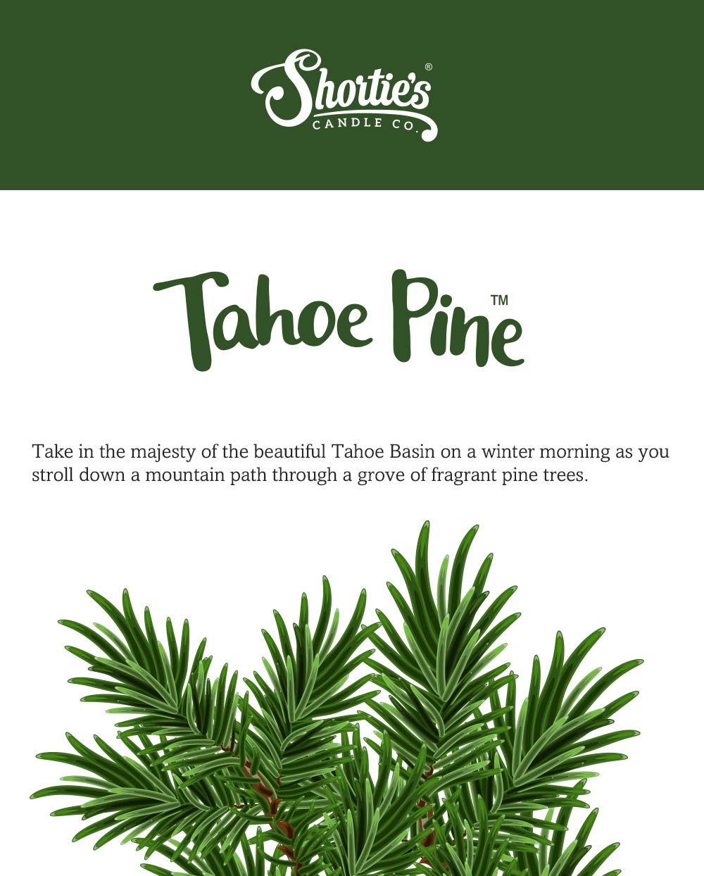 Tahoe Pine Soy Votive Candles - Scented with Essential & Natural Oils - 6 Green Natural Votive Candle Refills - Fresh & Clean Collection